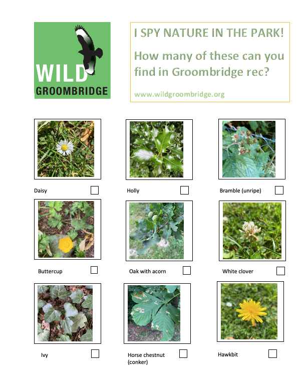 Groombridge nature spotting sheet p1 – Wild Groombridge